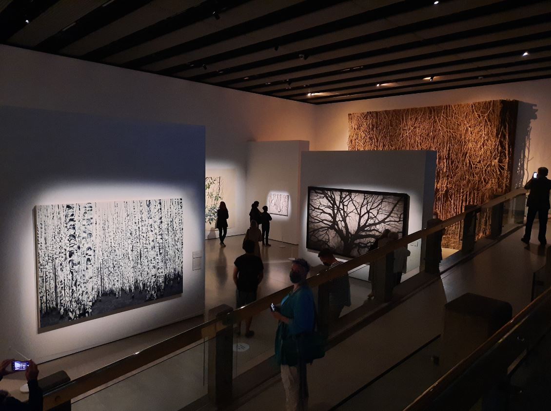 The Covid Diaries 28: Hayward Gallery, Among the Trees – Salterton Arts ...