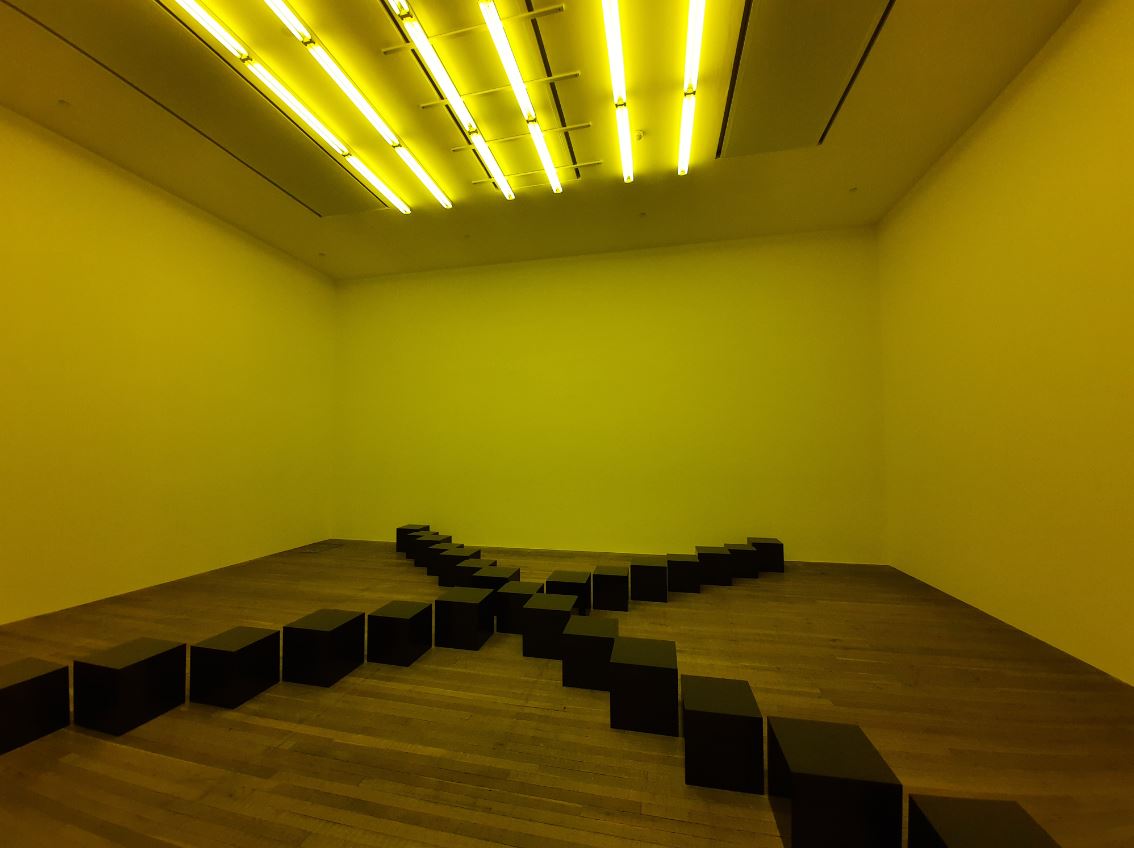 Bruce Nauman - Tate Modern, London – Salterton Arts Review