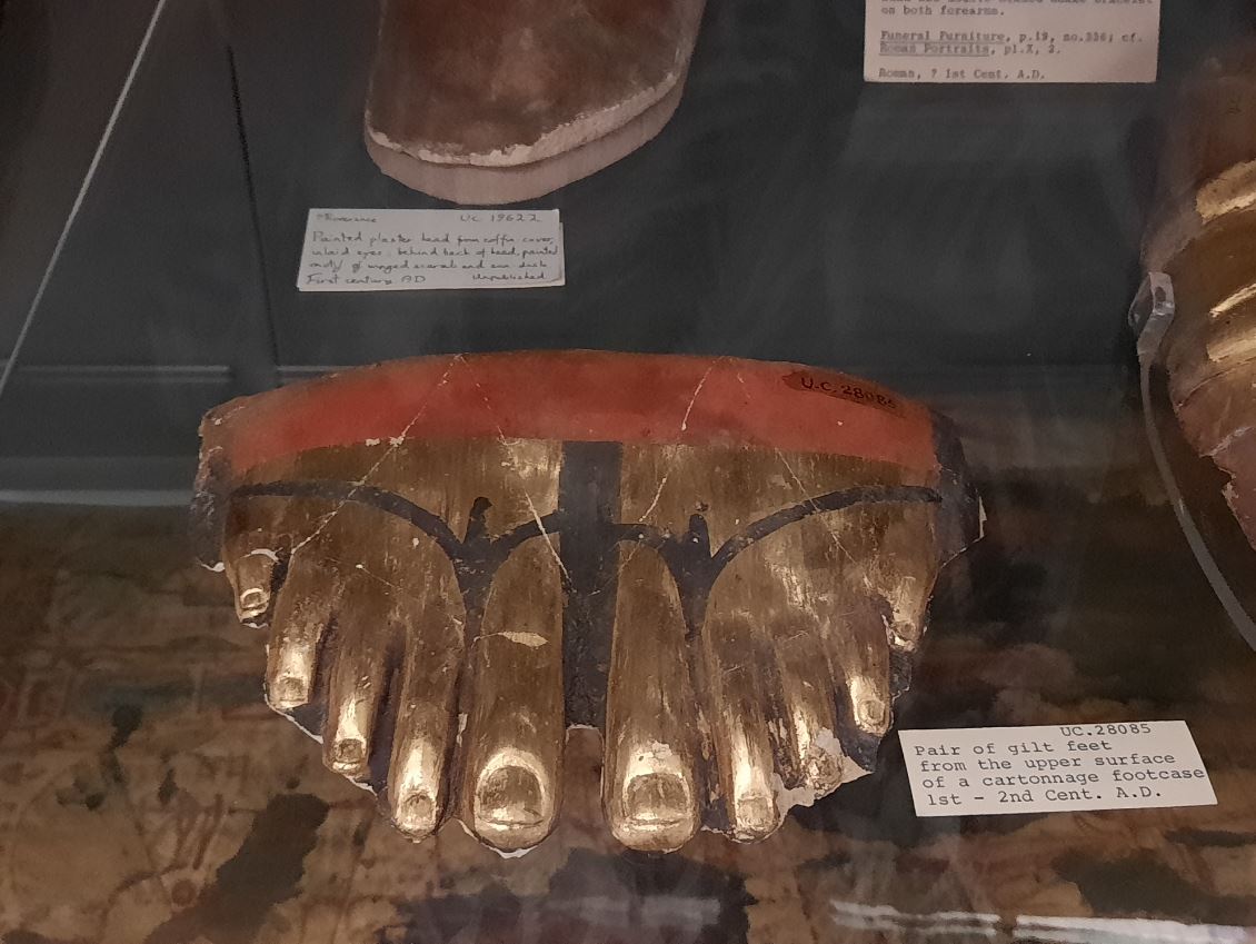 The Covid Diaries 53: Petrie Museum of Egyptian Archaeology – Salterton ...