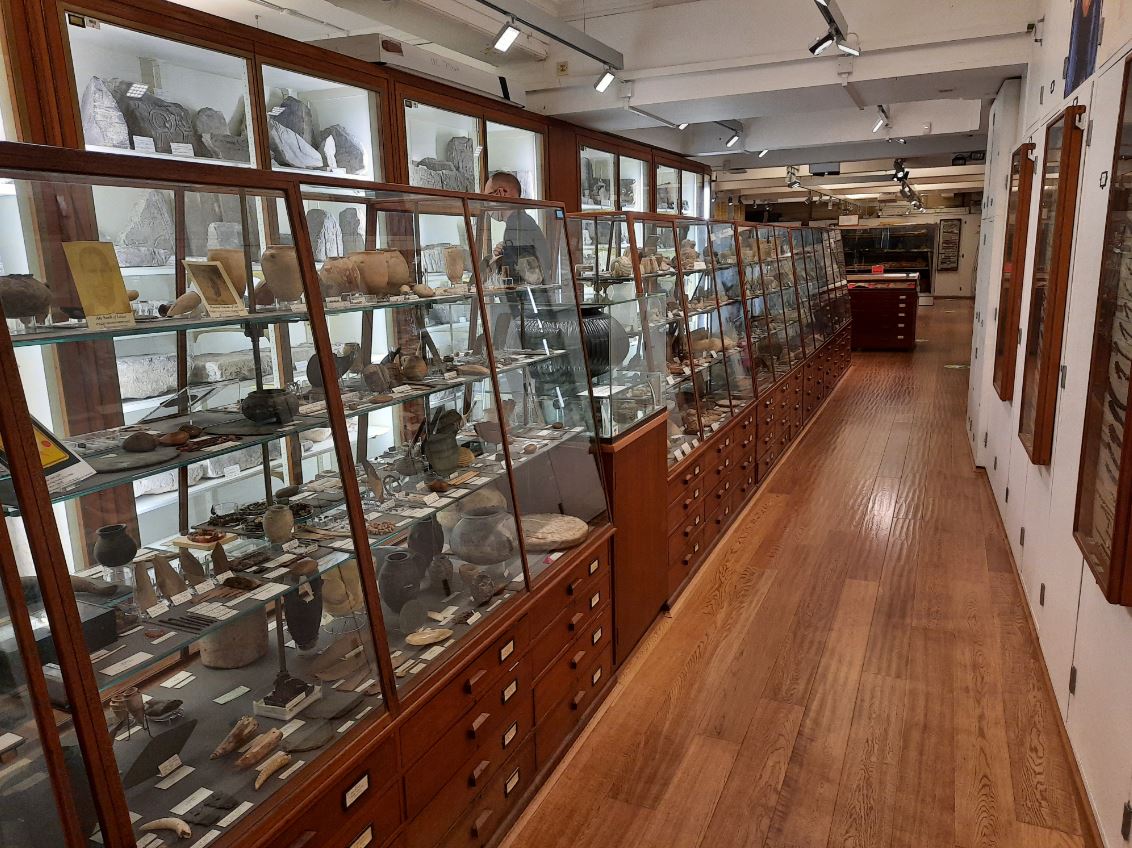 The Covid Diaries 53: Petrie Museum of Egyptian Archaeology – Salterton ...