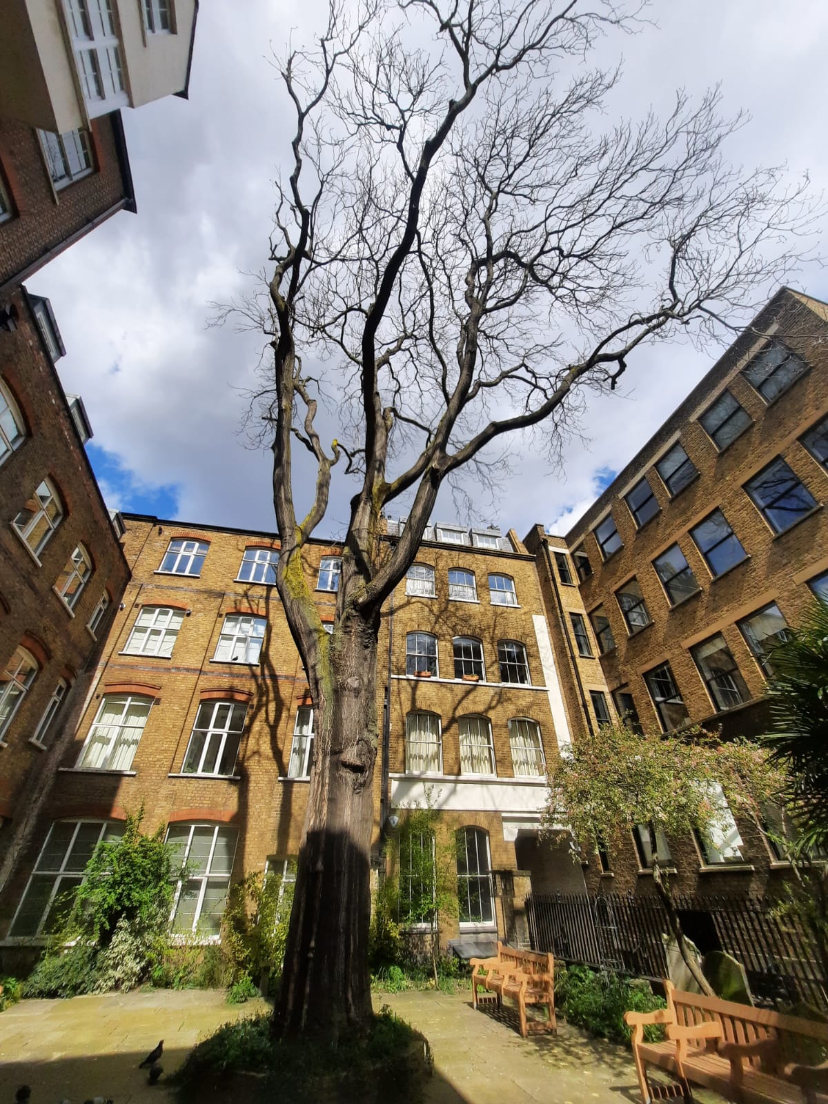 Blackfriars In Depth