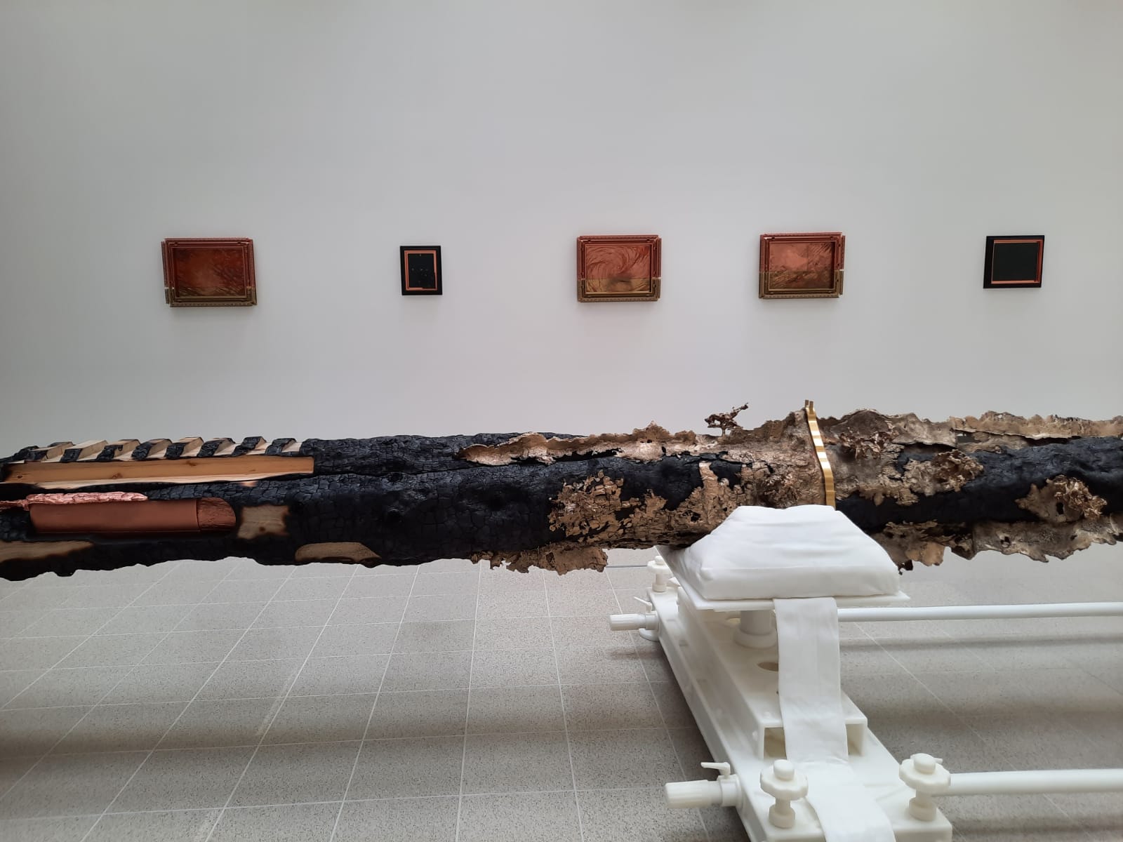 Igshaan Adams: Kicking Dust // Matthew Barney: Redoubt - Hayward ...