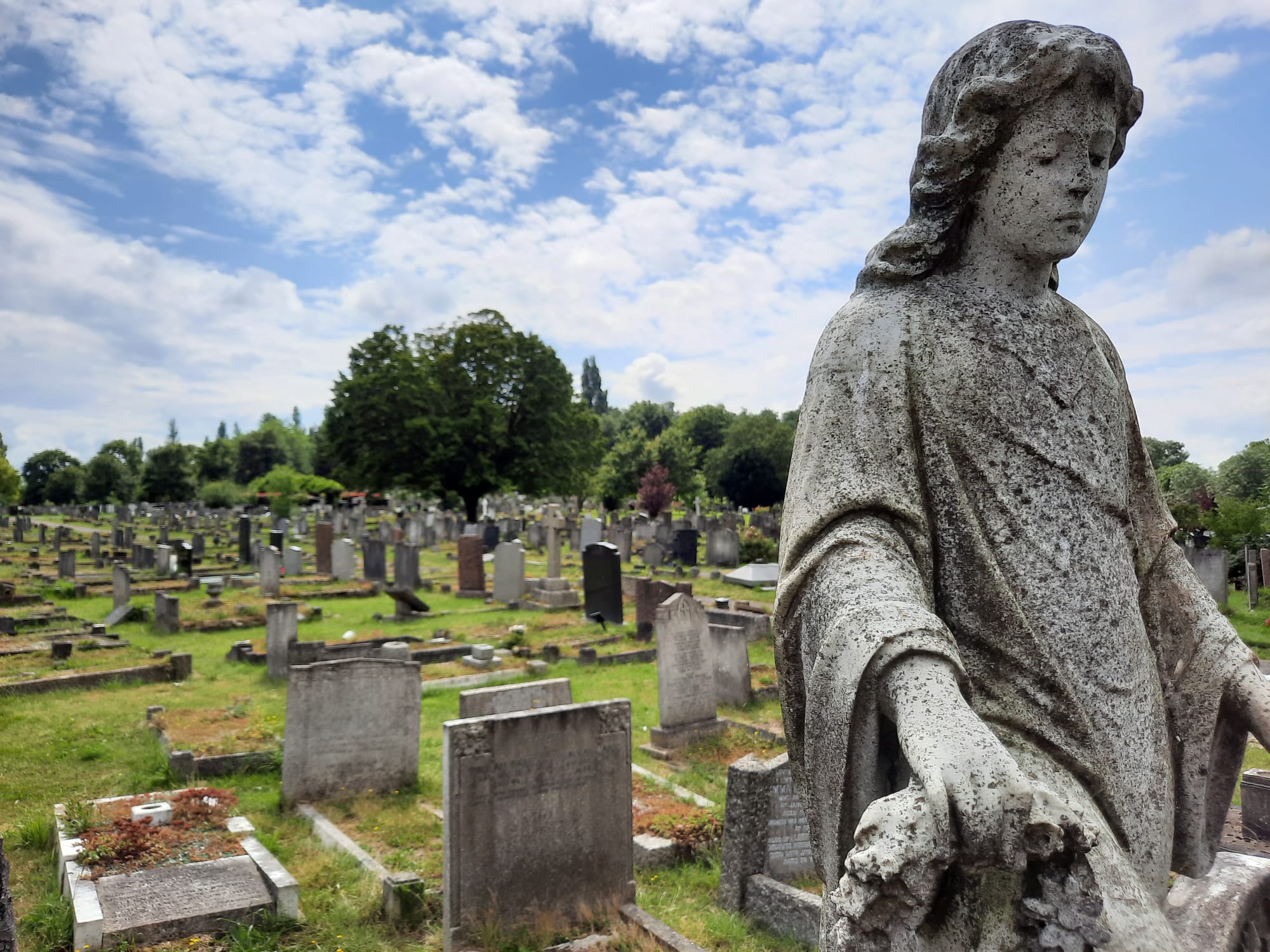 London Tree Walk - Honor Oak Park to New Cross Gate – Salterton Arts Review