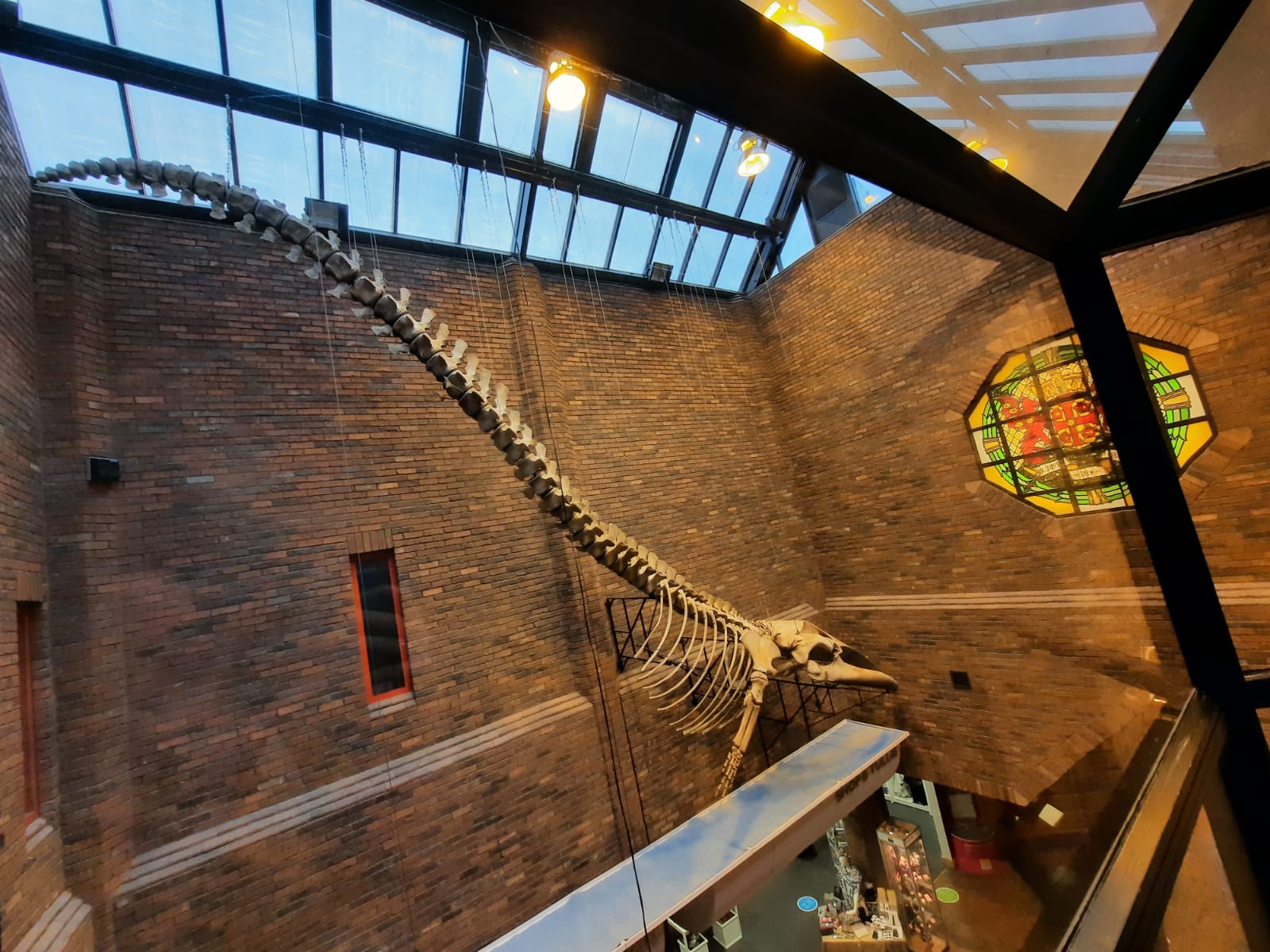 Tullie House Museum & Art Gallery, Carlisle – Salterton Arts Review