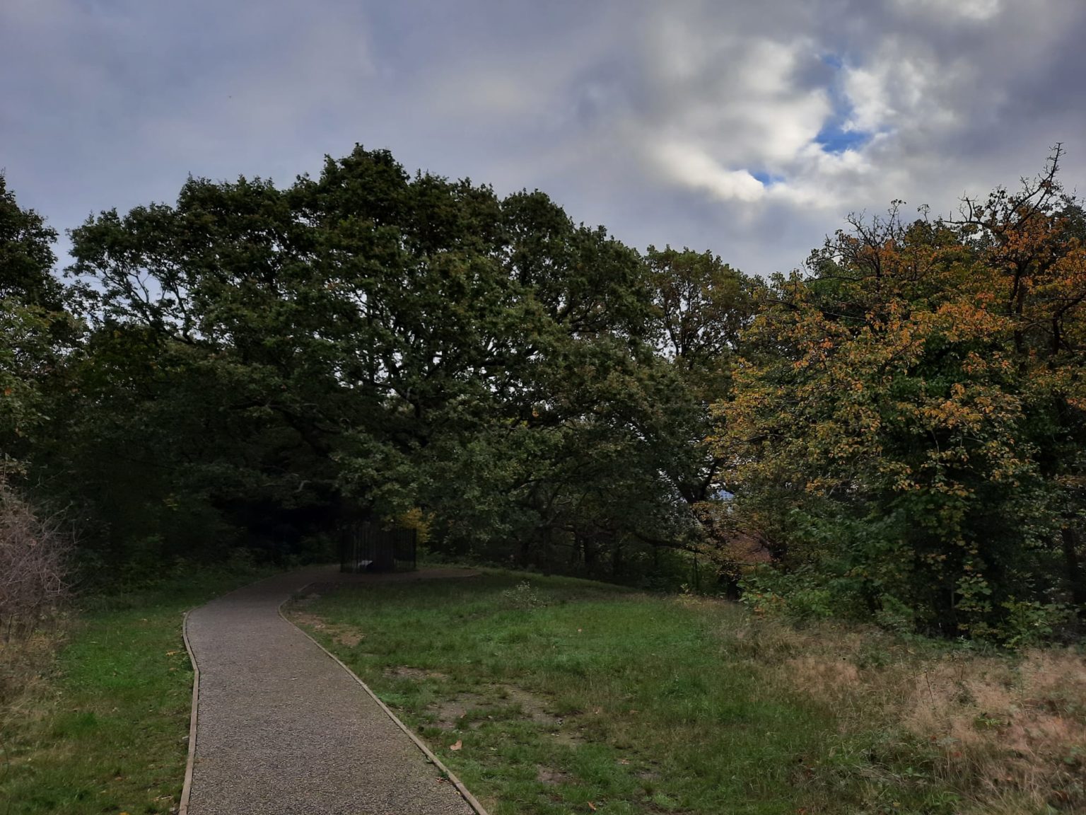 Walking the Peck - London's Lost River – Salterton Arts Review