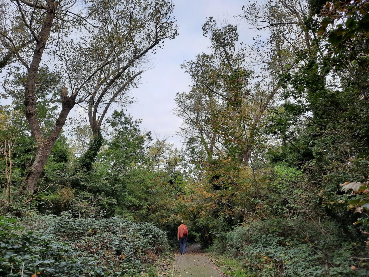 Walking the Peck - London's Lost River – Salterton Arts Review