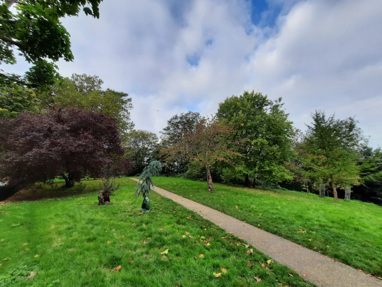 Walking the Peck - London's Lost River – Salterton Arts Review