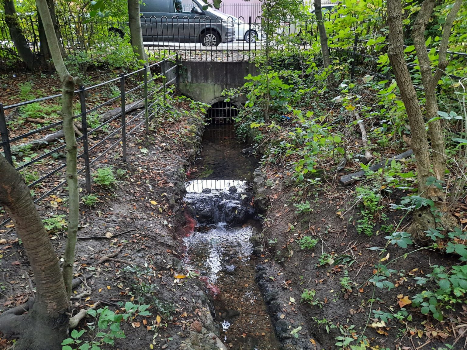 Walking the Peck - London's Lost River – Salterton Arts Review