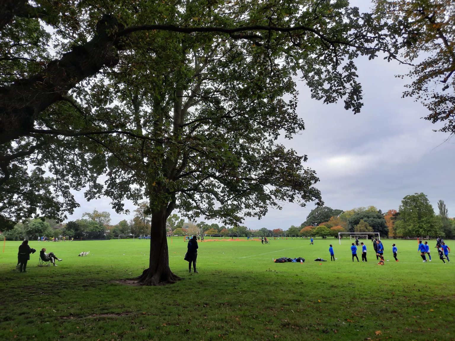 Walking the Peck - London's Lost River – Salterton Arts Review
