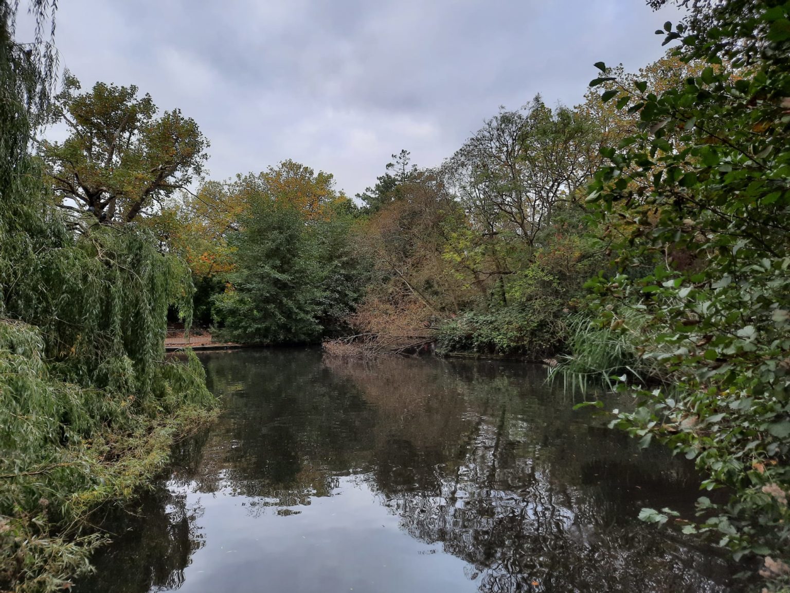 Walking the Peck - London's Lost River – Salterton Arts Review