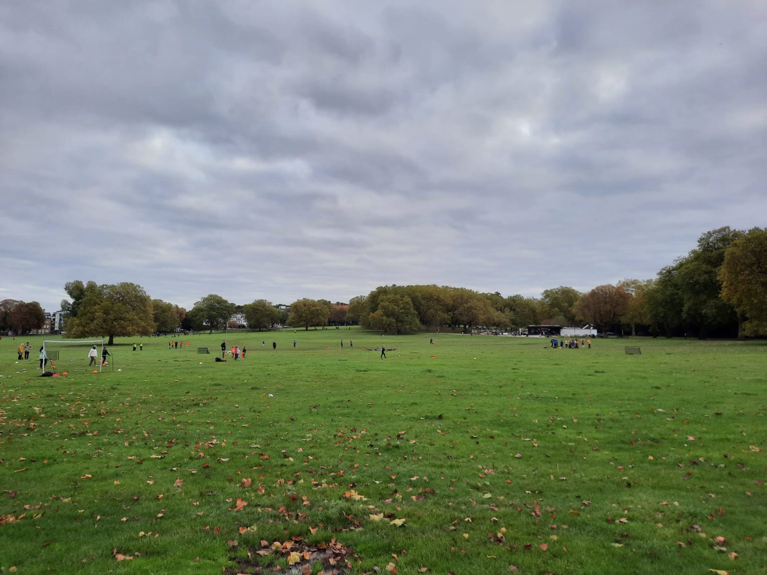 Walking the Peck - London's Lost River – Salterton Arts Review