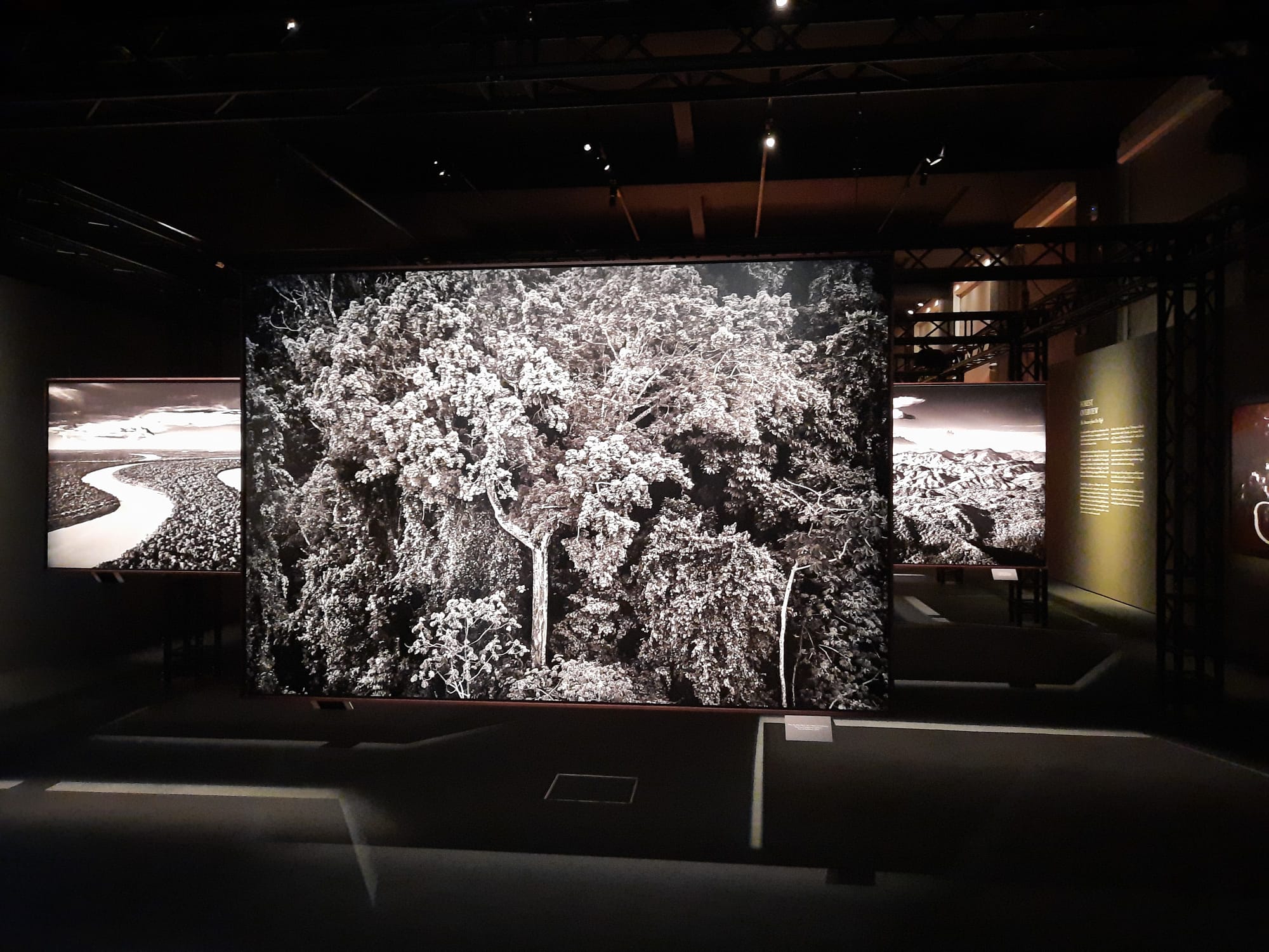 Amazônia - Science Museum, London – Salterton Arts Review