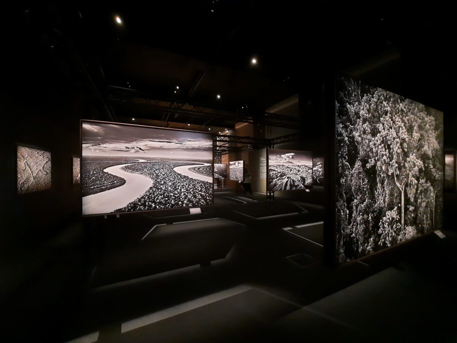 Amazônia - Science Museum, London – Salterton Arts Review