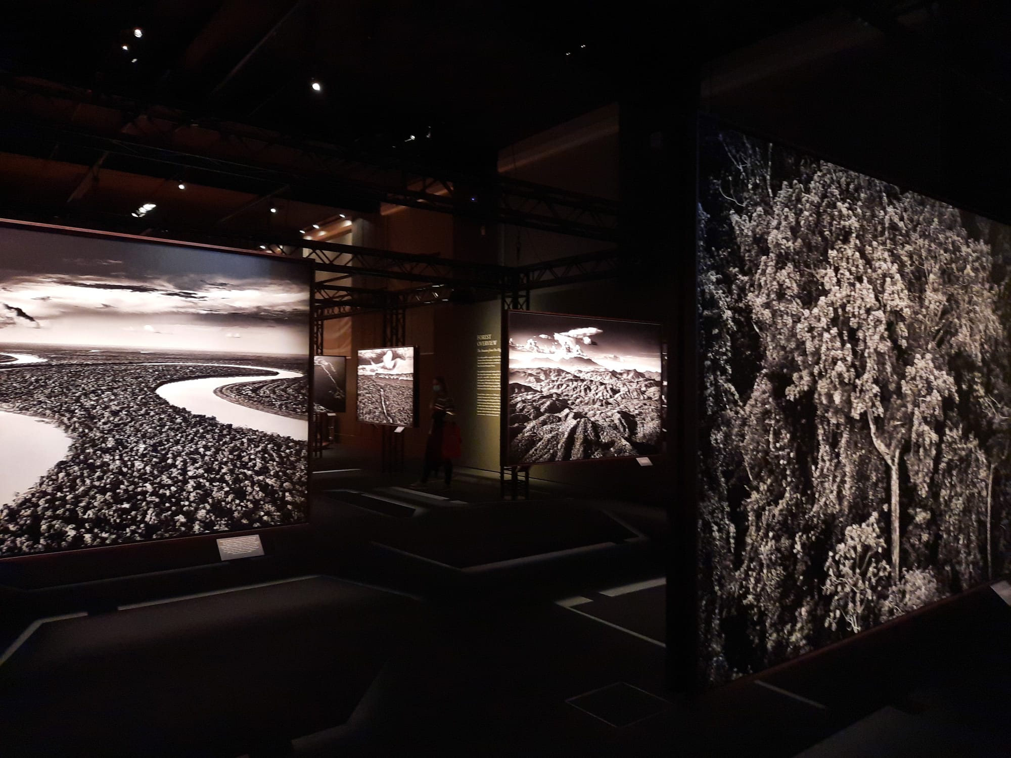 Amazônia - Science Museum, London – Salterton Arts Review