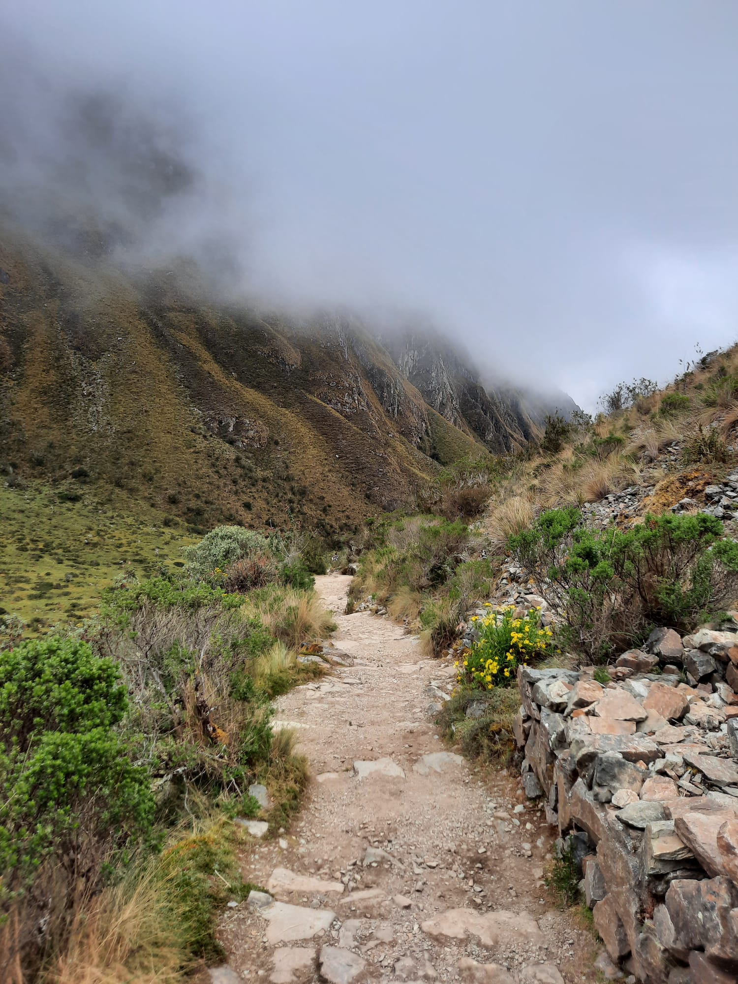 Walking The Inca Trail: Part II (incl. Machu Picchu) – Salterton Arts ...