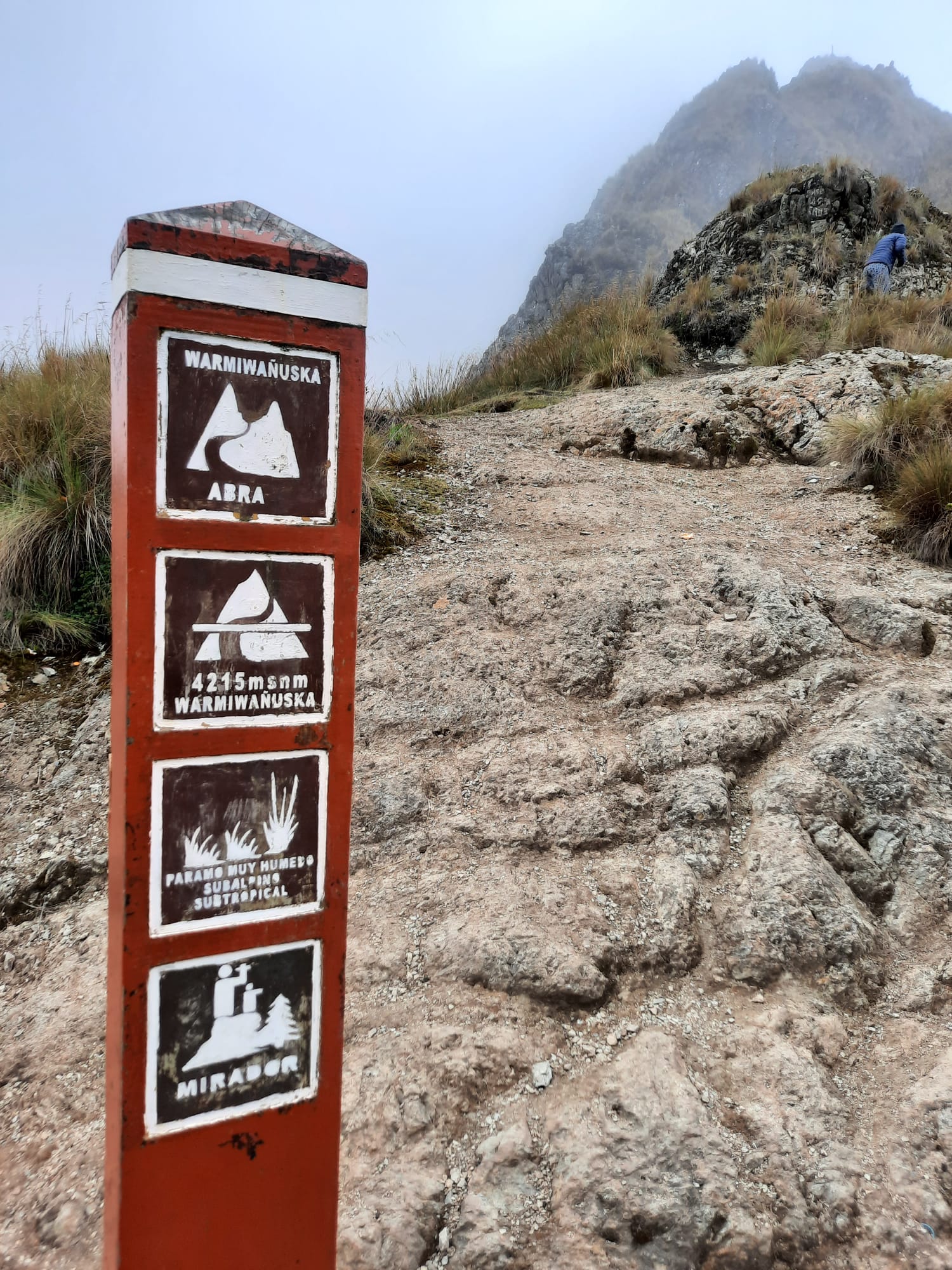 Walking The Inca Trail: Part II (incl. Machu Picchu) – Salterton Arts ...