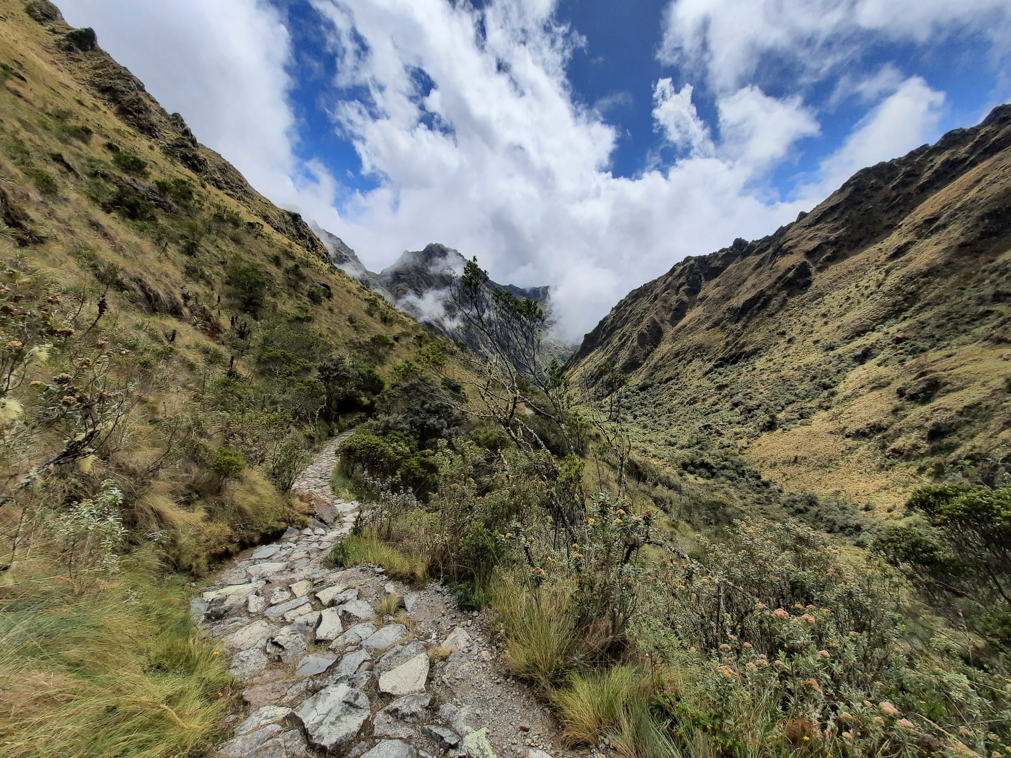 Walking The Inca Trail: Part II (incl. Machu Picchu) – Salterton Arts ...