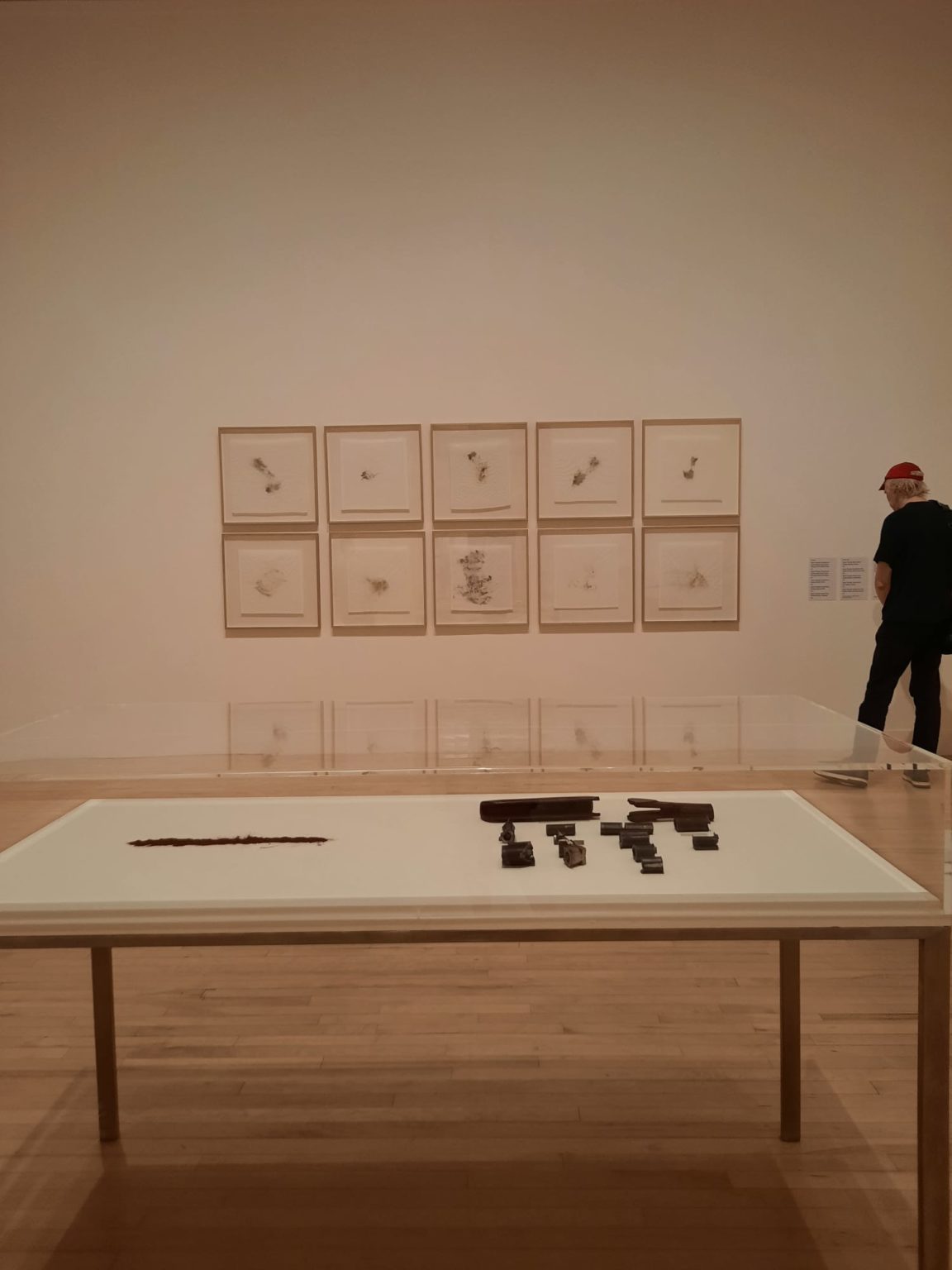 Cornelia Parker - Tate Britain, London – Salterton Arts Review