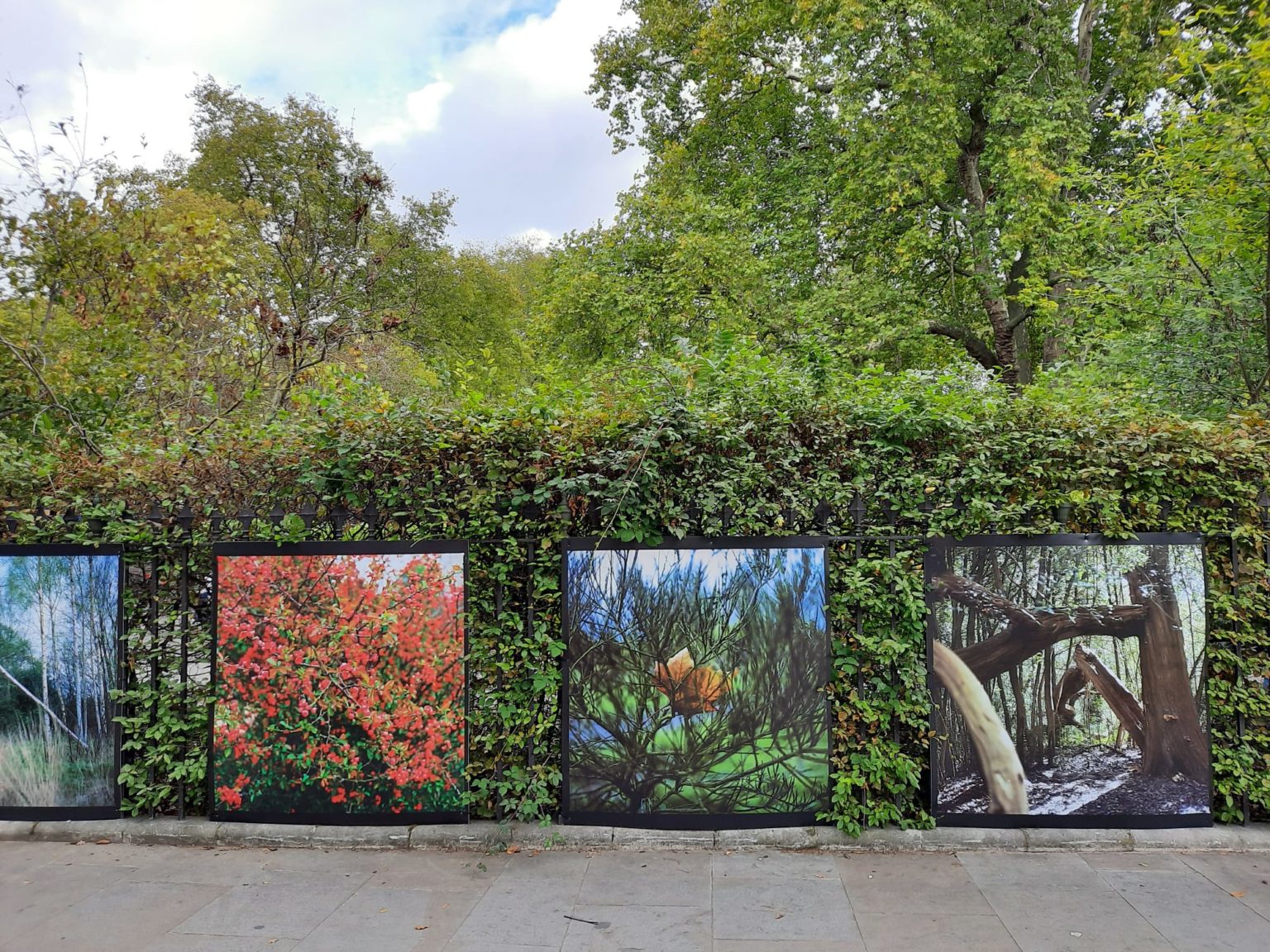 Peter Doig - The Courtauld Gallery, London – Salterton Arts Review