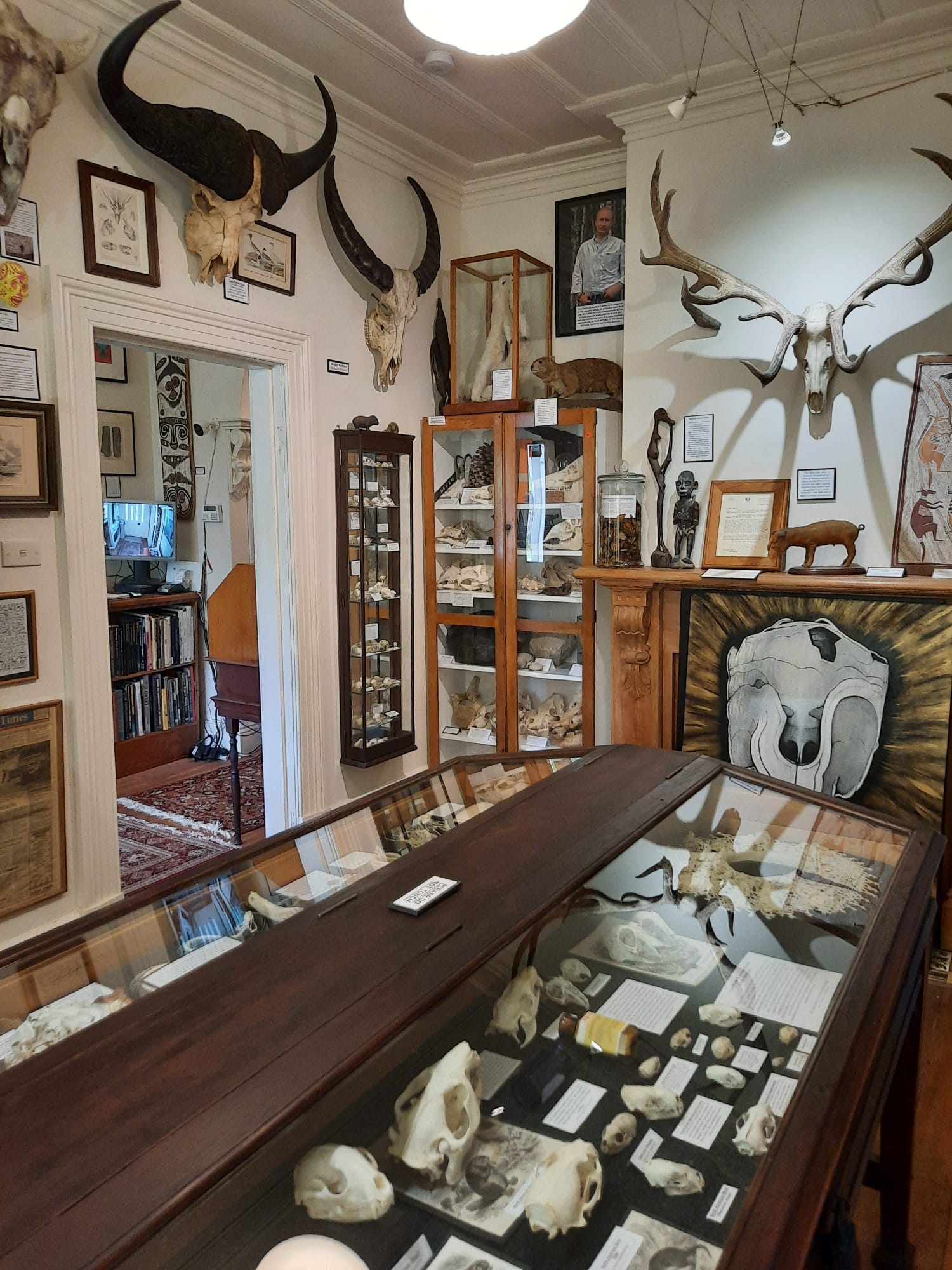 Dunedin Museum Of Natural Mystery – Salterton Arts Review