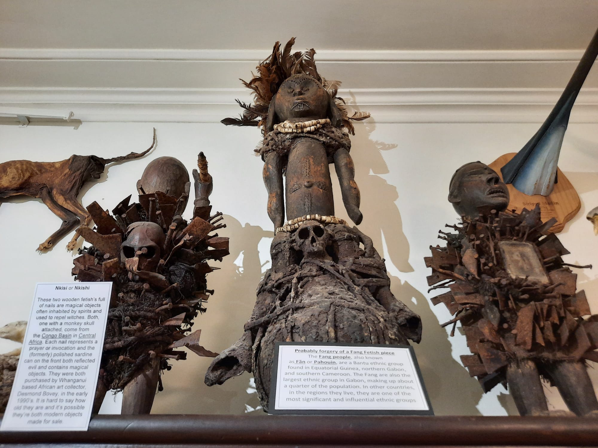 Dunedin Museum Of Natural Mystery – Salterton Arts Review