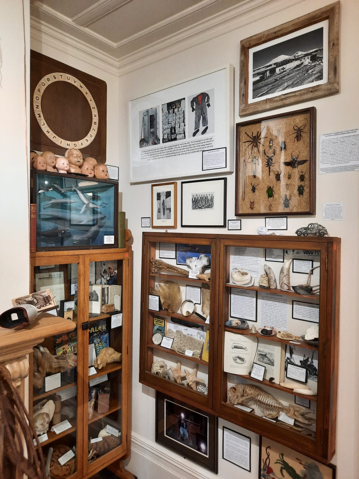 Dunedin Museum Of Natural Mystery – Salterton Arts Review