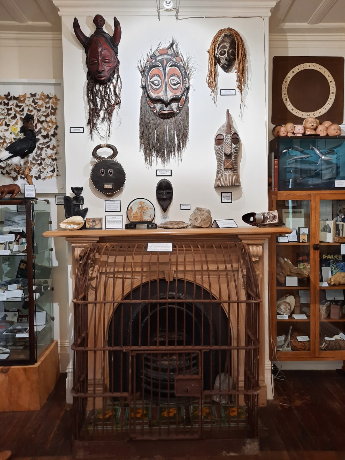 Dunedin Museum Of Natural Mystery – Salterton Arts Review