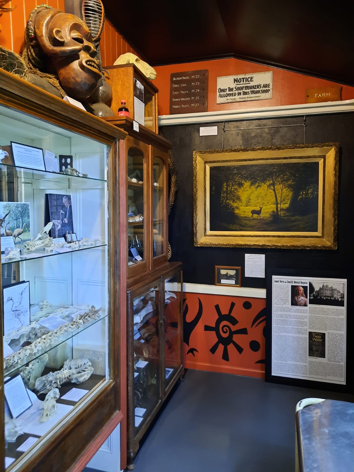 Dunedin Museum Of Natural Mystery – Salterton Arts Review