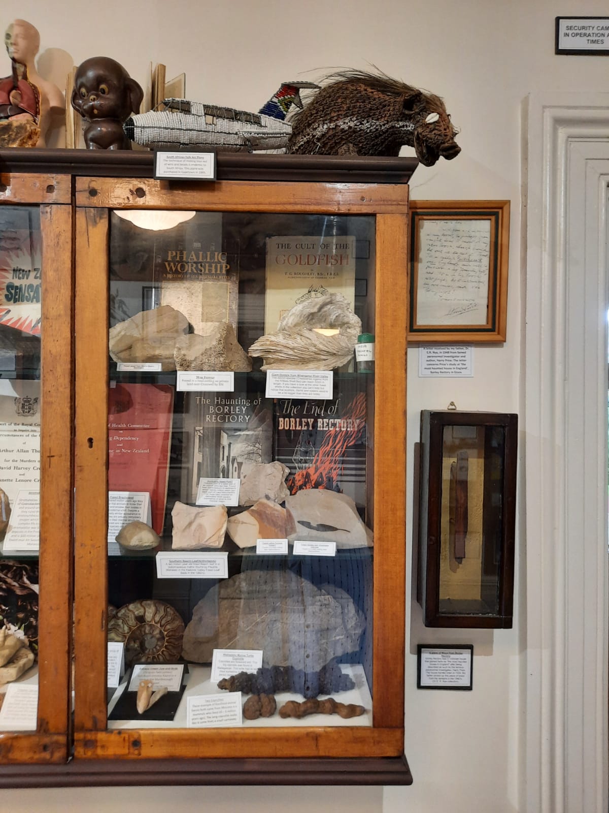 Dunedin Museum Of Natural Mystery – Salterton Arts Review