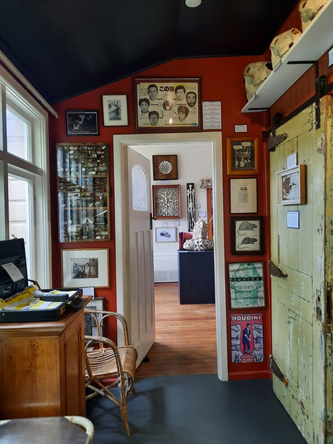 Dunedin Museum Of Natural Mystery – Salterton Arts Review