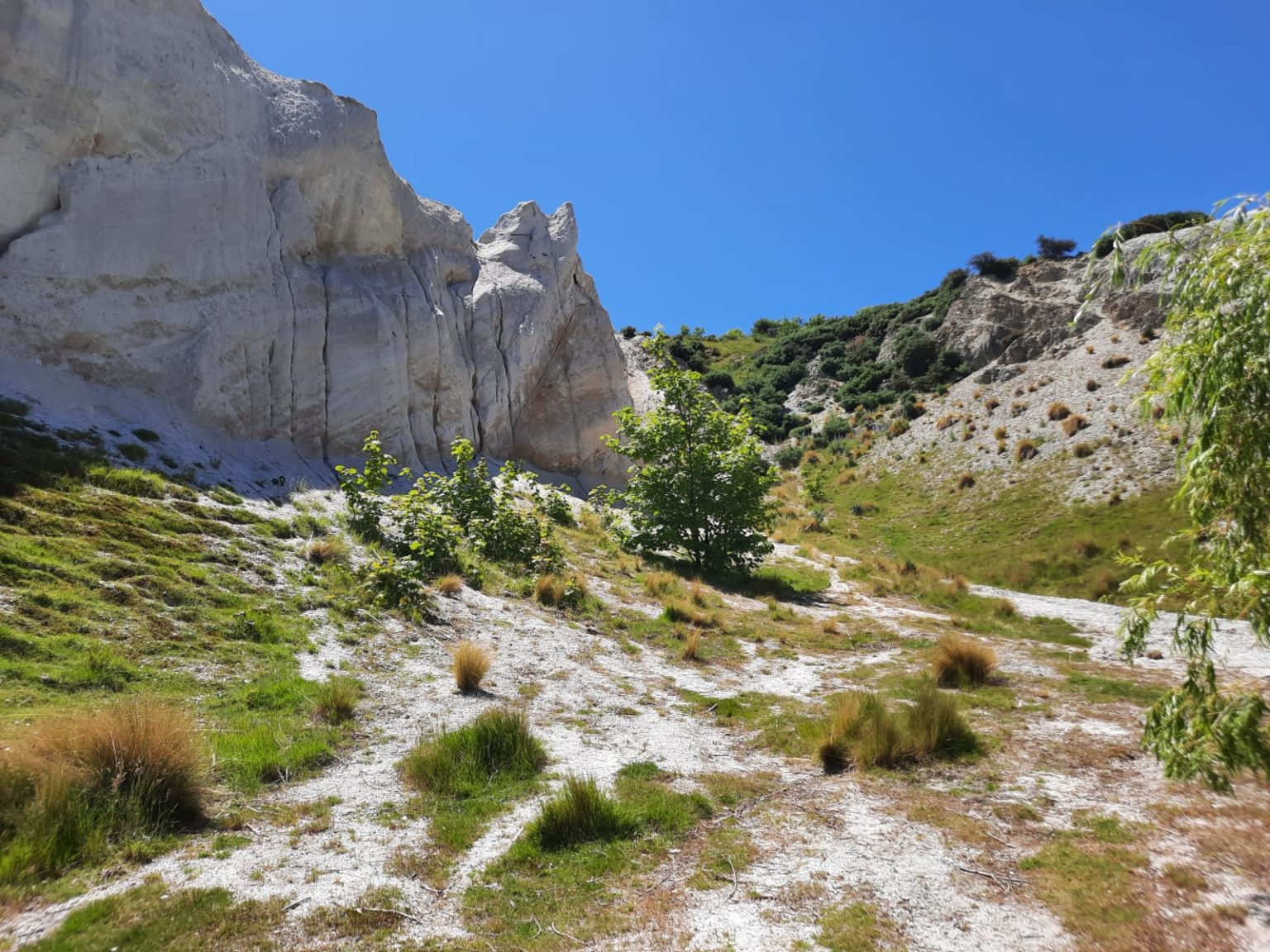 Central Otago's Gold Rush Sights: A Historian's Guide – Salterton Arts ...