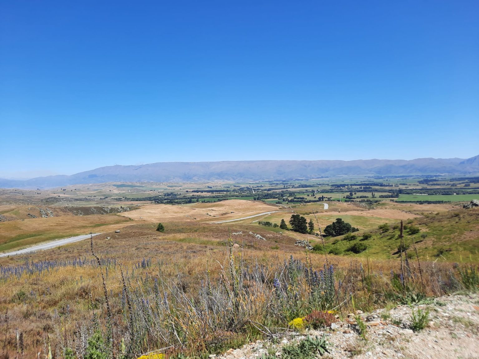 Central Otago's Gold Rush Sights: A Historian's Guide – Salterton Arts ...