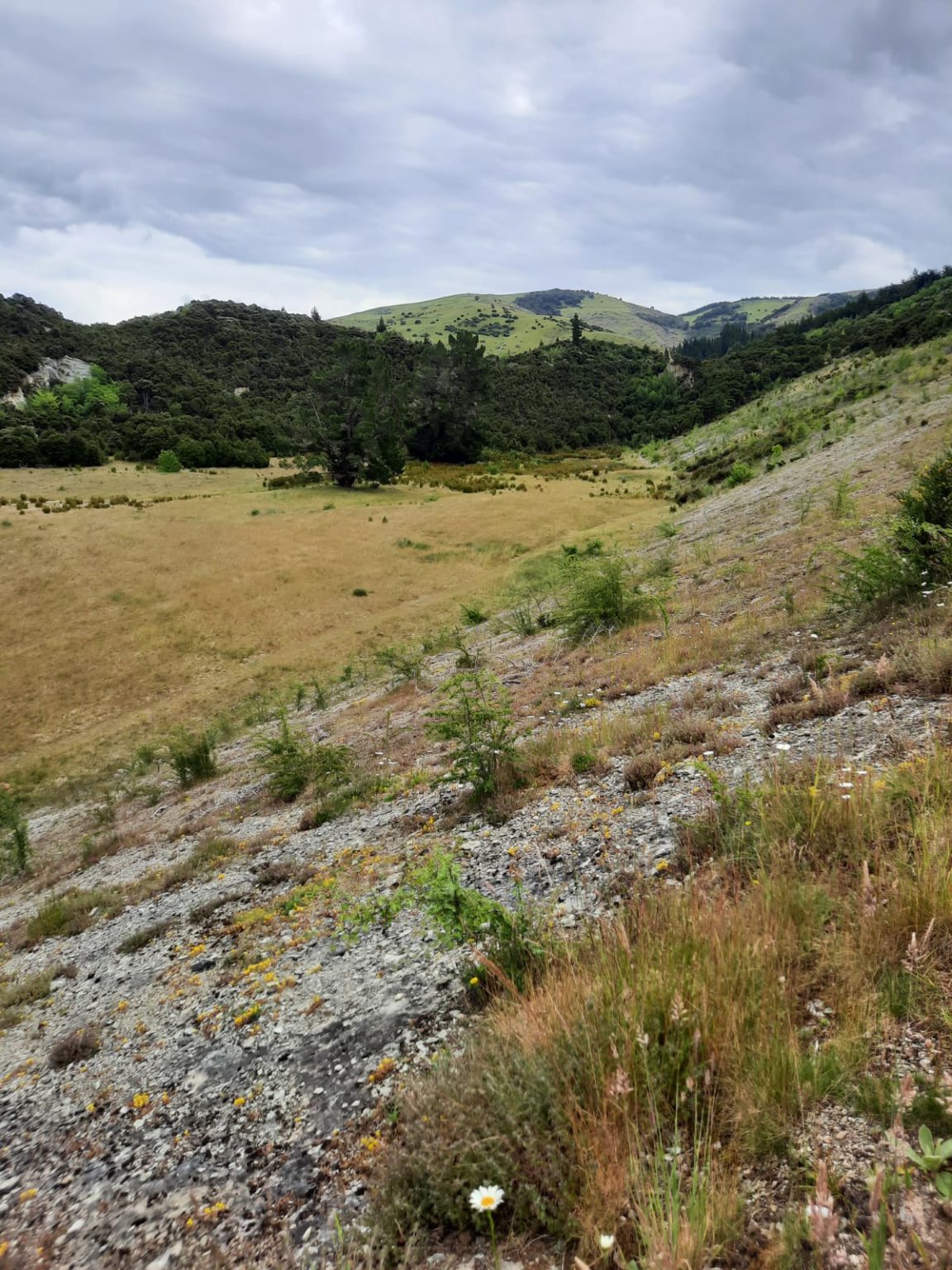 Central Otago's Gold Rush Sights: A Historian's Guide – Salterton Arts ...