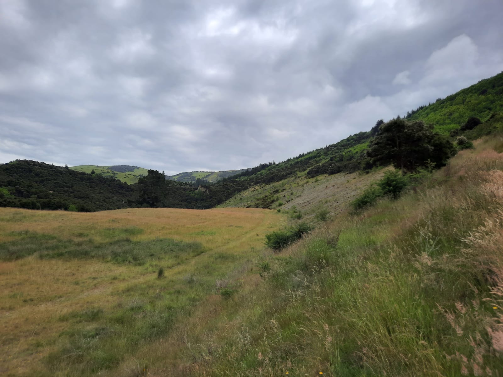 Central Otago's Gold Rush Sights: A Historian's Guide – Salterton Arts ...