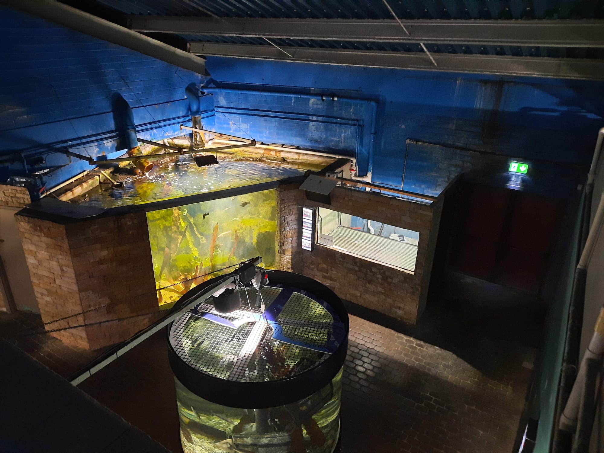 Galway Atlantaquaria (+ Museological Musings On Aquariums) – Salterton ...