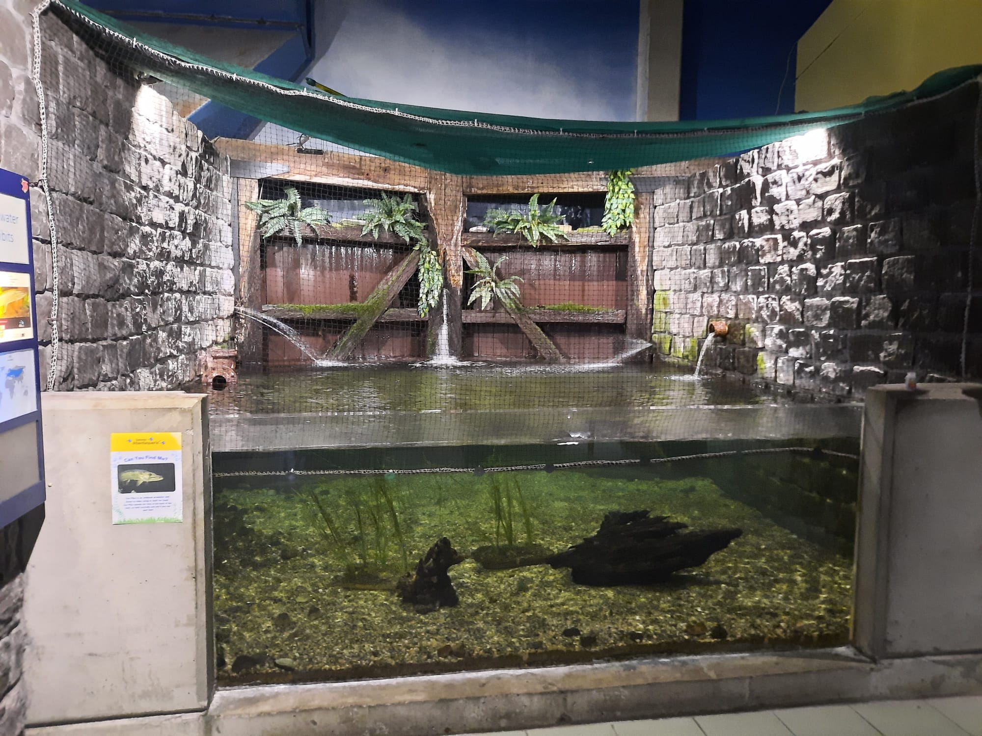 Galway Atlantaquaria (+ Museological Musings On Aquariums) – Salterton ...