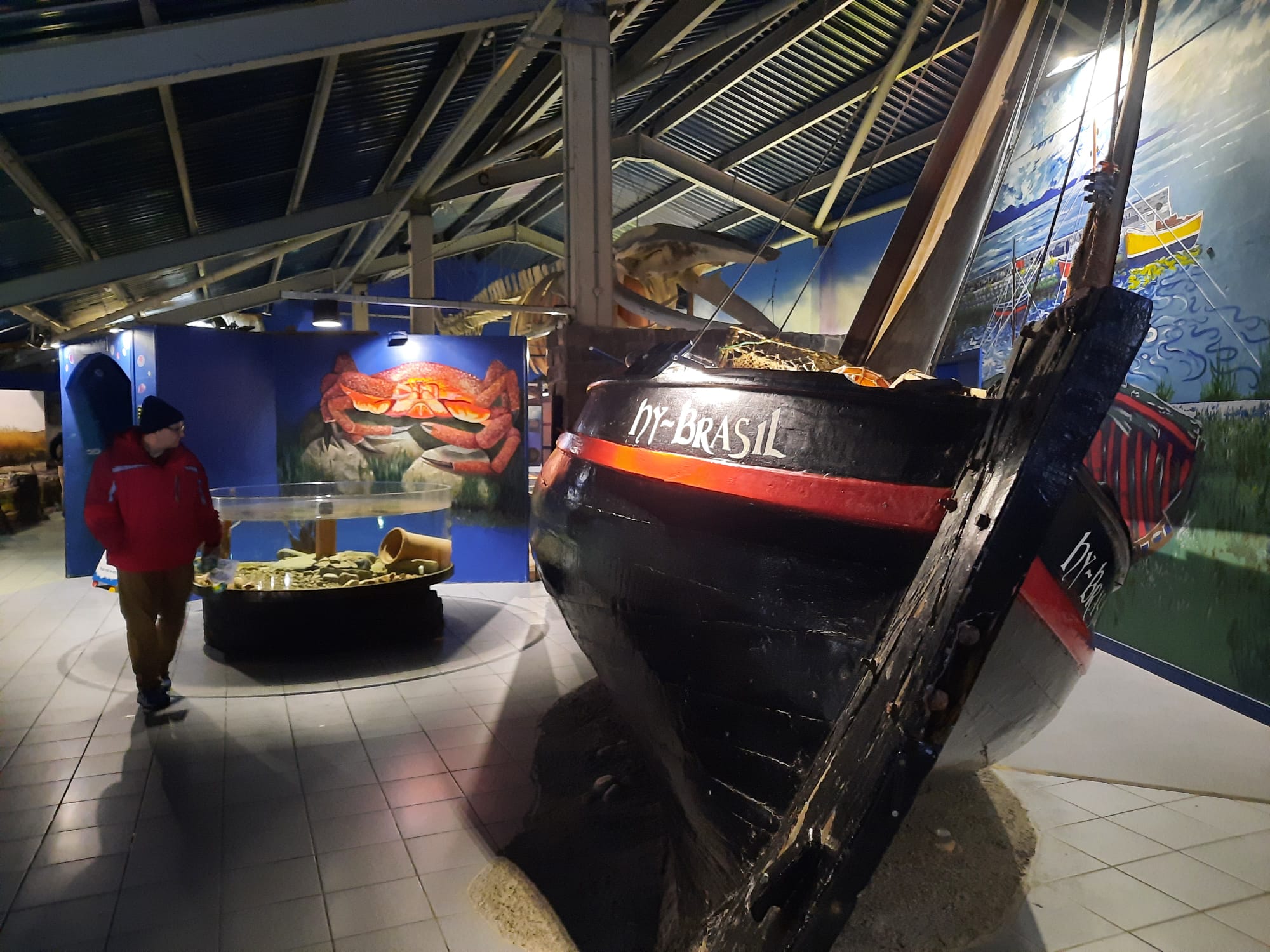 Galway Atlantaquaria (+ Museological Musings On Aquariums) – Salterton ...