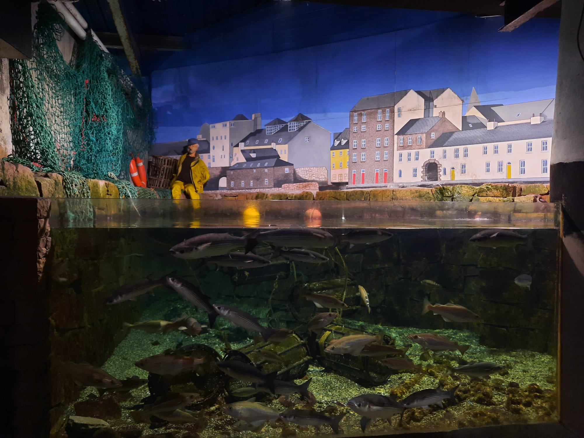Galway Atlantaquaria (+ Museological Musings On Aquariums) – Salterton ...