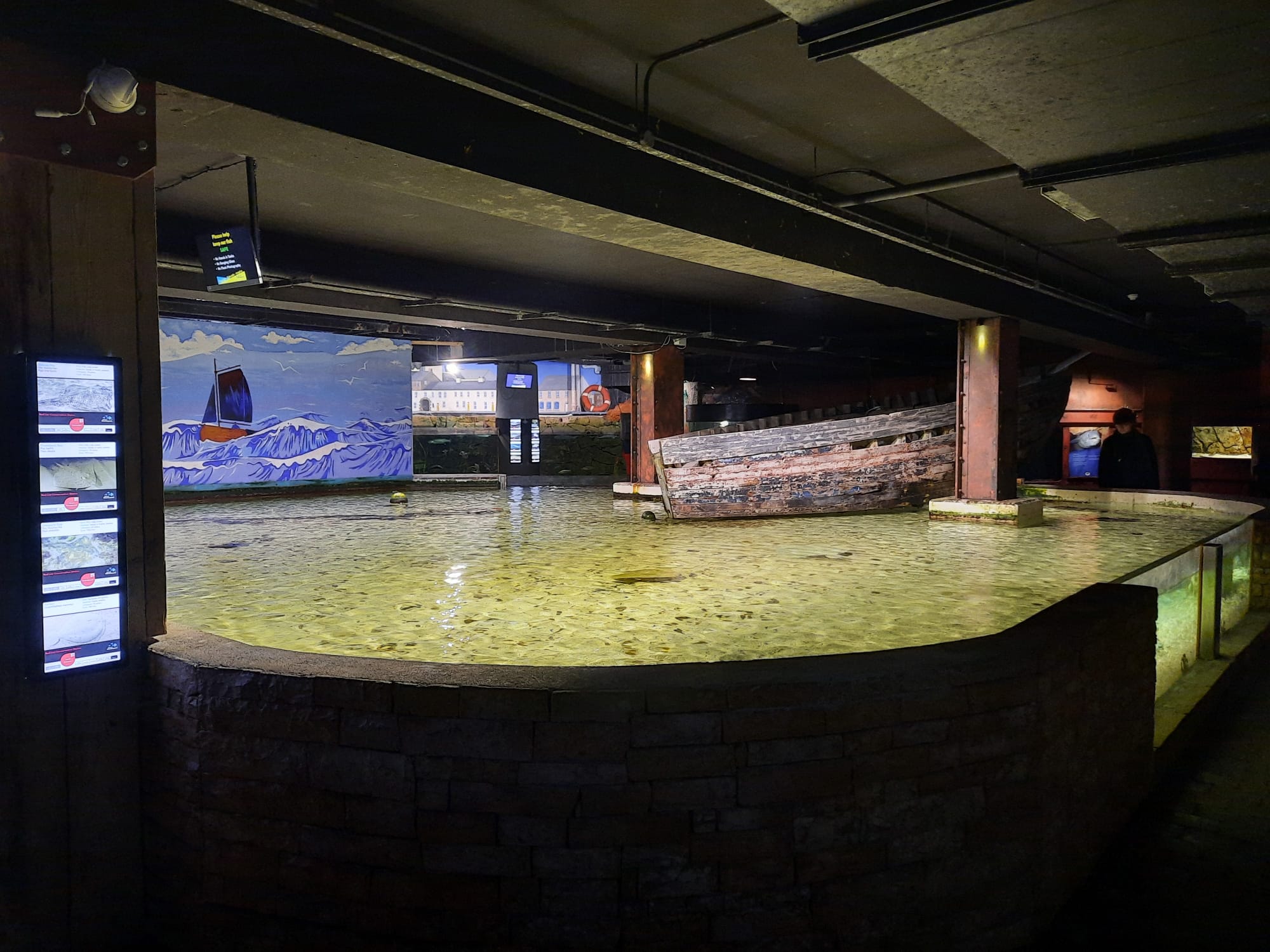 Galway Atlantaquaria (+ Museological Musings On Aquariums) – Salterton ...