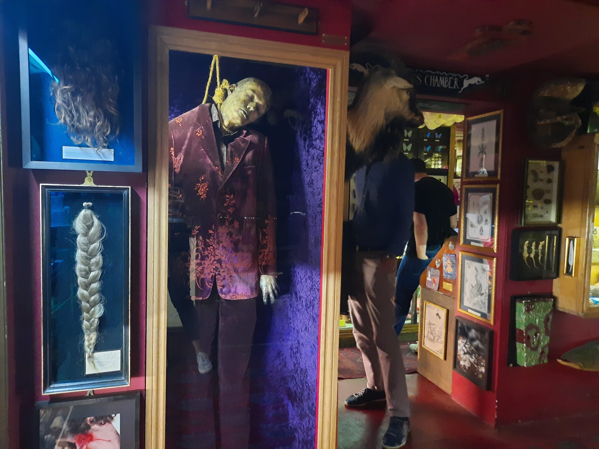 A Modern Wunderkabinett: The Viktor Wynd Museum Of Curiosities, Fine ...