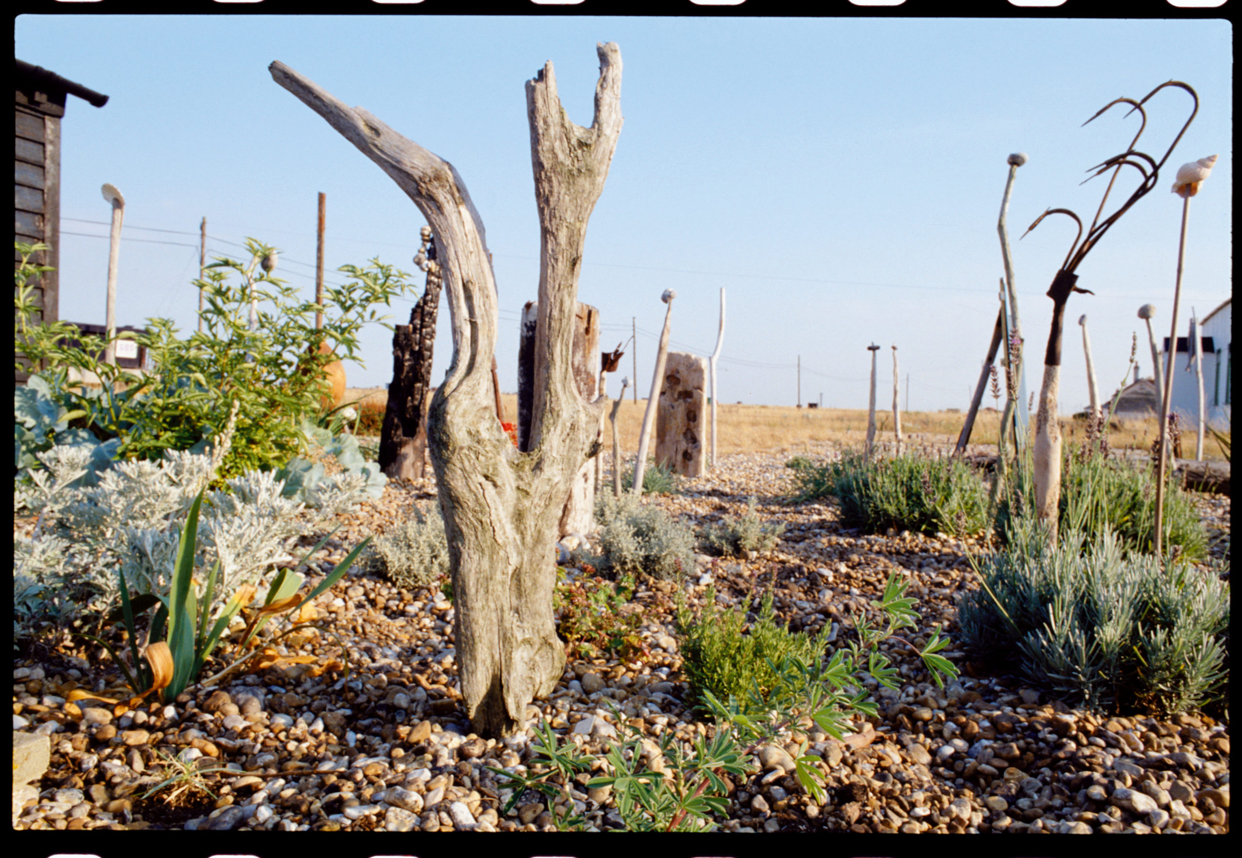 Radical Landscapes - William Morris Gallery, London – Salterton Arts Review