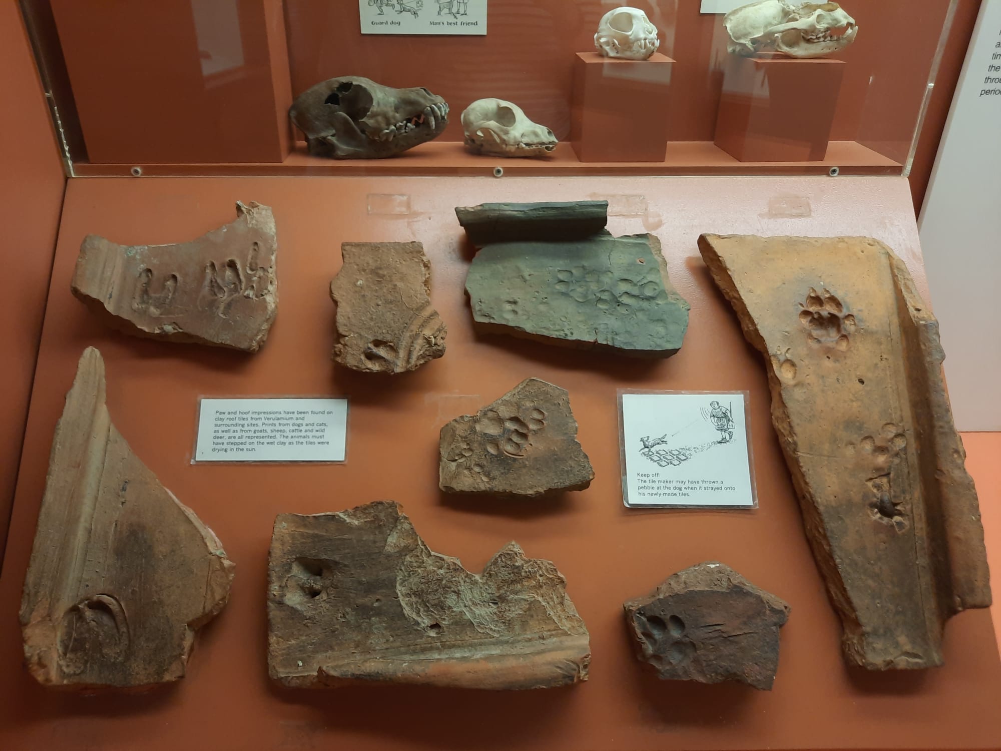 Verulamium Museum & Roman St Albans – Salterton Arts Review
