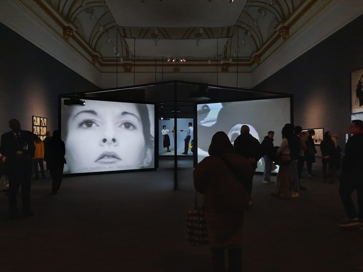 Marina Abramović: The Musealisation Of Performance – Salterton Arts Review
