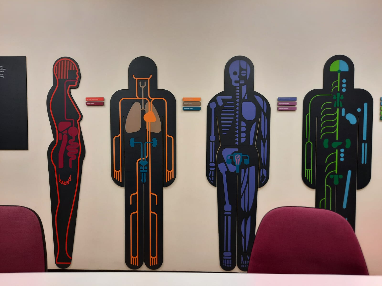 Case Studies in Human Remains and Contemporary Museum Ethics: UCL ...