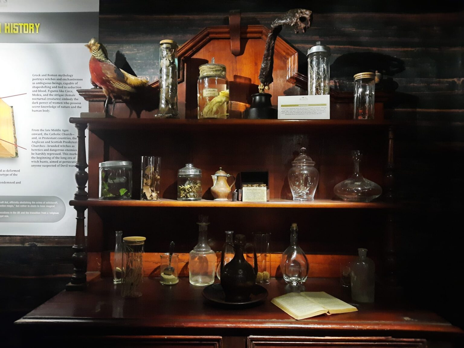 Dark Secrets: An Esoteric Exhibition - The Vaults, London – Salterton ...