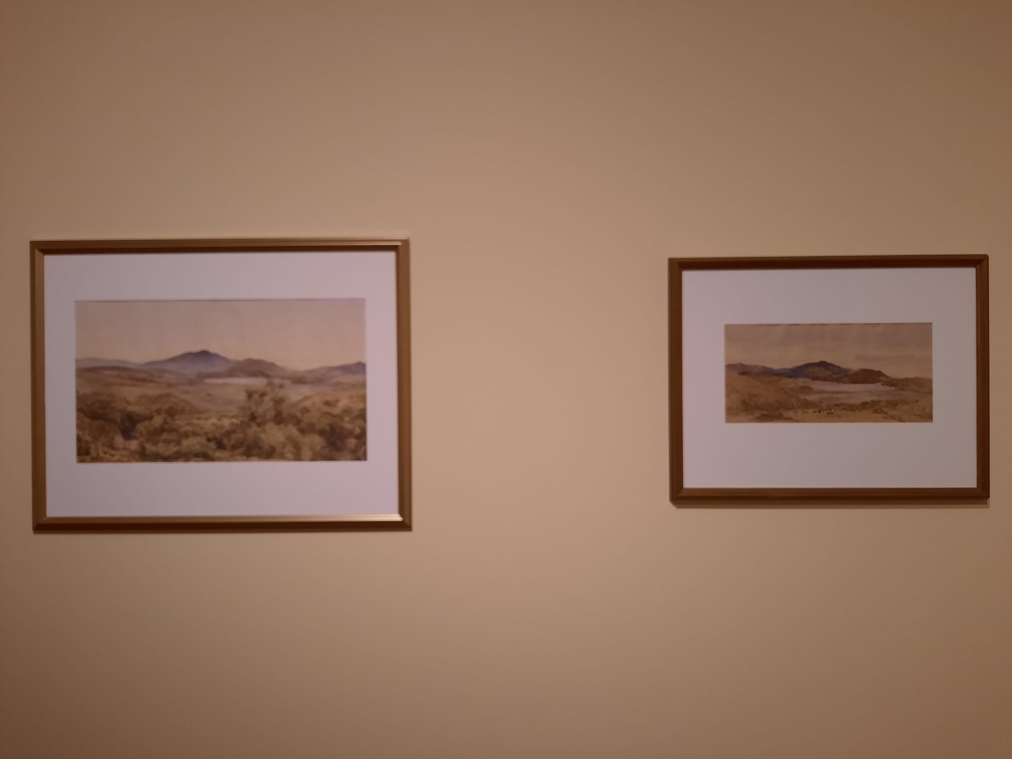 Groundbreakers: Grace Joel, Frances Hodgkins and the new art of Ōtepoti ...