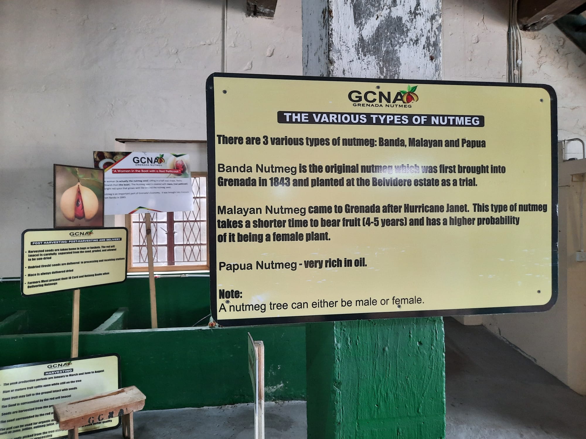 Grenada Nutmeg Museum – Salterton Arts Review