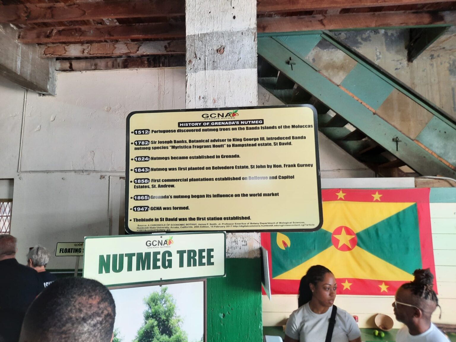 Grenada Nutmeg Museum – Salterton Arts Review