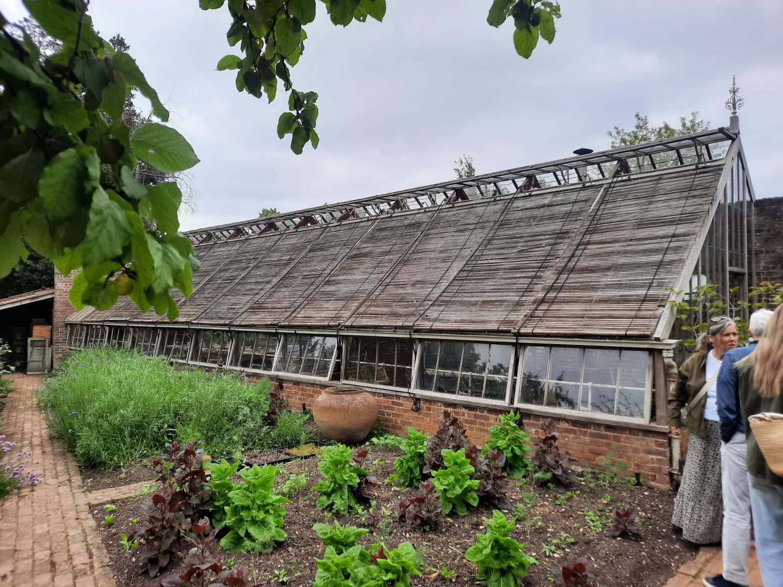 Petersham Through Its Gardens – Salterton Arts Review