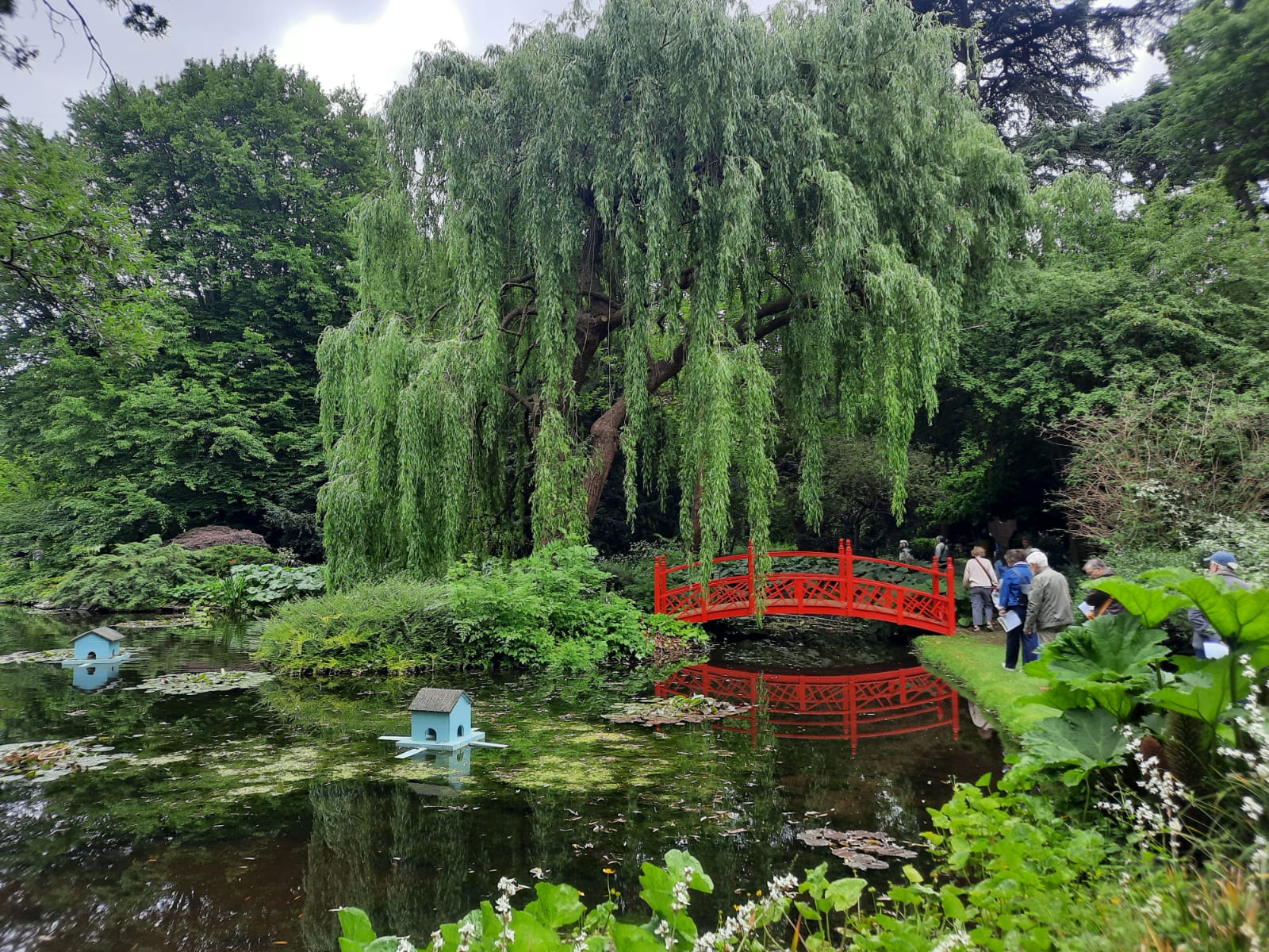 Petersham Through Its Gardens – Salterton Arts Review